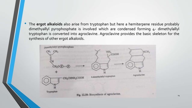 Alkaloids: types, biosynthesis and functions | PPTX | Chemistry | Science