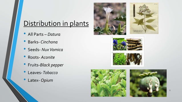 Alkaloids: types, biosynthesis and functions | PPTX | Chemistry | Science