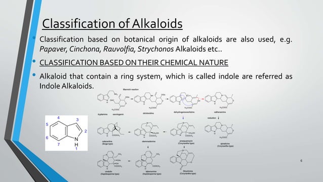 Alkaloids: types, biosynthesis and functions | PPTX | Chemistry | Science