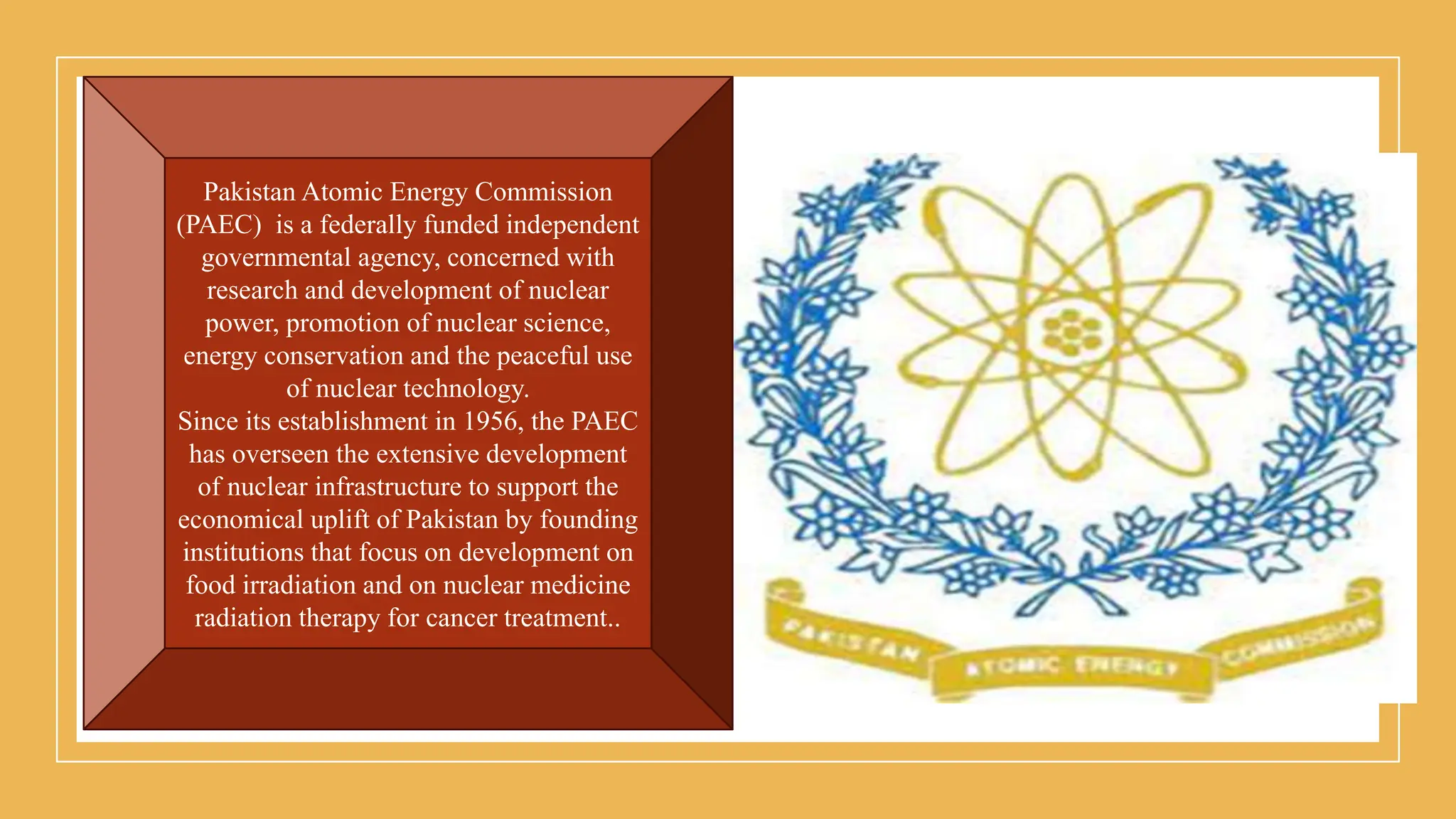 Presentation1.pptxPakistan Nuclear Power Capacity.pptx