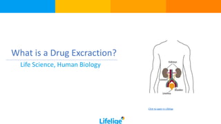 presentation 1.pptx the human extraction of drugs | PPT