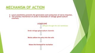 Local anesthesia ppt Introduction action | PPTX