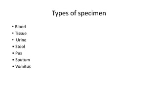 Presentation1.pptx gr specimen collection | PPTX