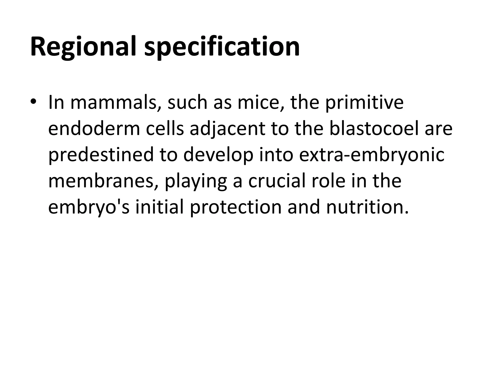 Endoderm introduction, functions and formation.pptx