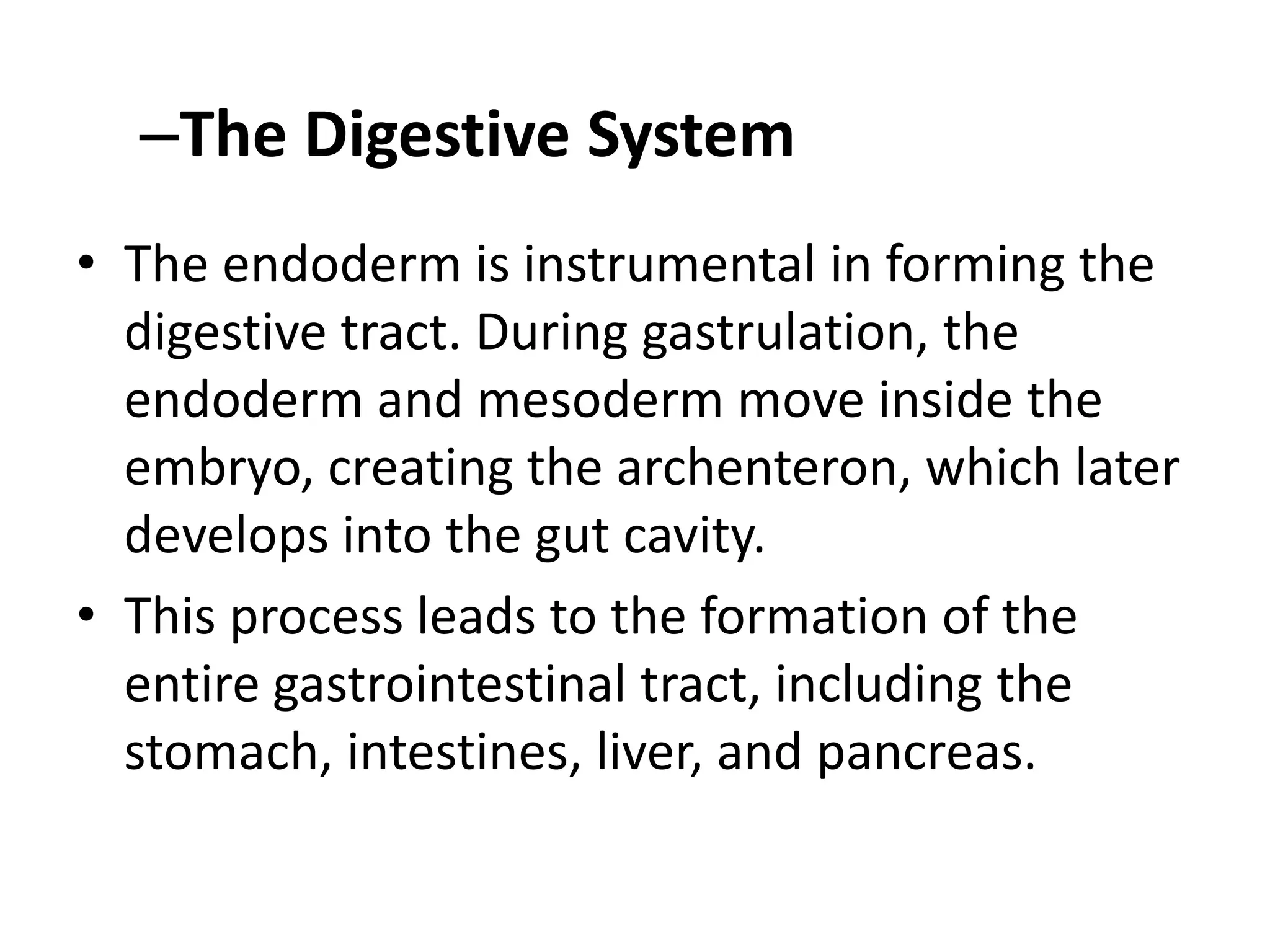 Endoderm introduction, functions and formation.pptx