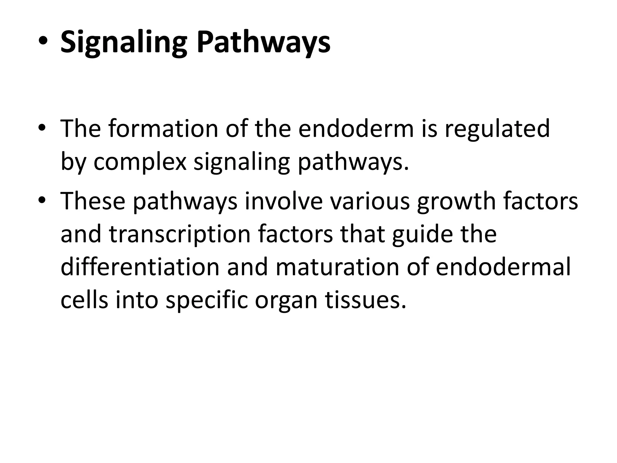 Endoderm introduction, functions and formation.pptx