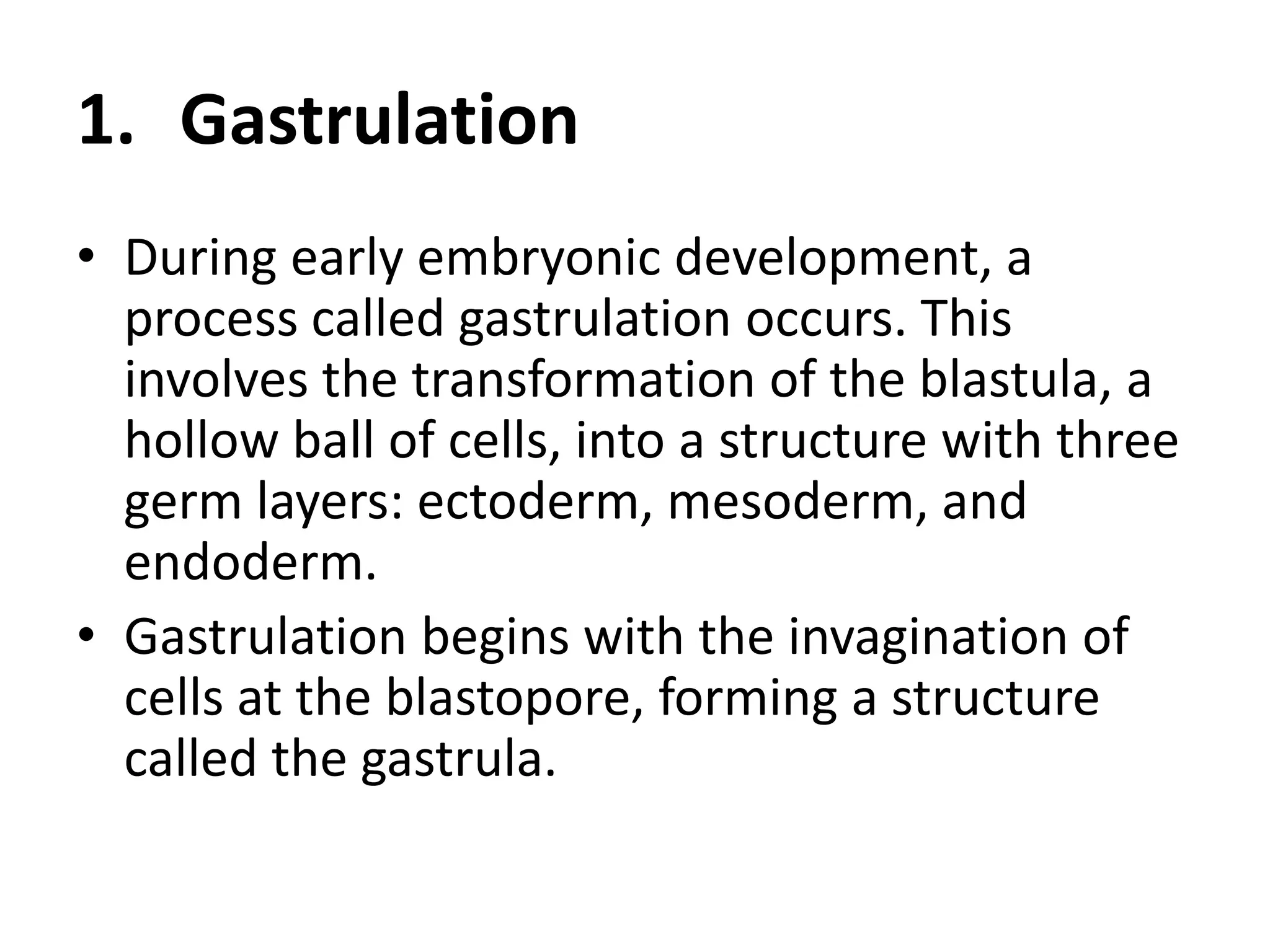 Endoderm introduction, functions and formation.pptx