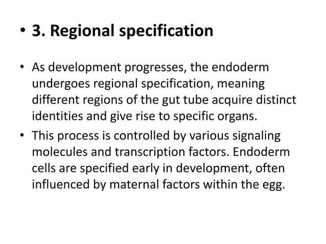 Endoderm Introduction Functions And Formation Pptx Digestive Disorders Diseases And Conditions