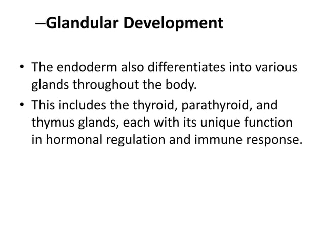 Endoderm Introduction Functions And Formation Pptx Digestive Disorders Diseases And Conditions
