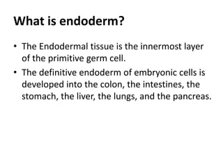 Endoderm introduction, functions and formation.pptx