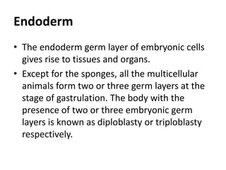Endoderm introduction, functions and formation.pptx