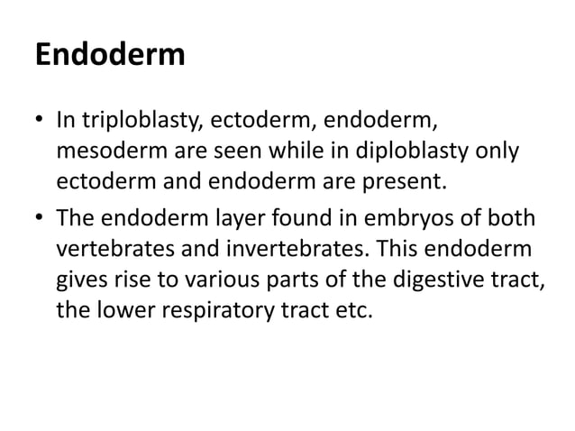 Endoderm Introduction Functions And Formation Pptx Digestive Disorders Diseases And Conditions