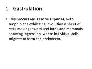 Endoderm introduction, functions and formation.pptx
