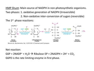 G6PD case and discussion on biochemical pathways.pptx | Blood Disorders ...