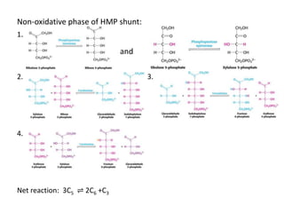 G6PD case and discussion on biochemical pathways.pptx | Blood Disorders ...
