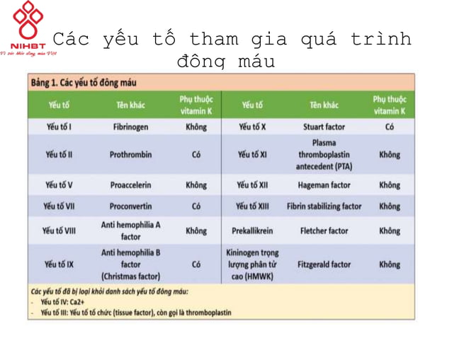 dac diem thuoc chong dong len xn mau.pptx