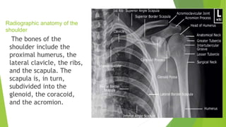 Presentation on the Xray of the shoulder, chest and pelvis | PPTX ...