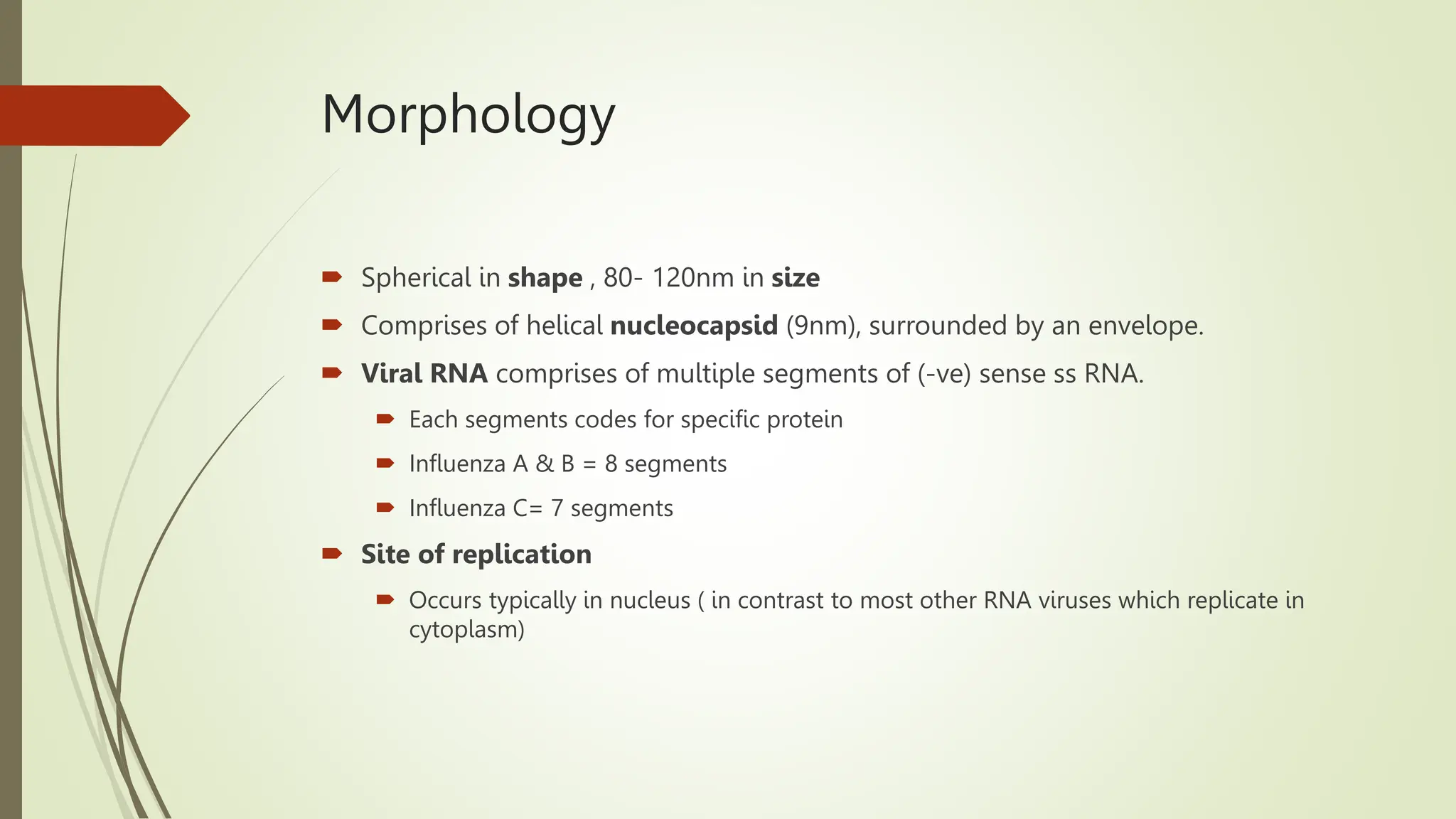 ORTHOMYXOVIRUSES POWERPOINT PRESENTATION | PPTX