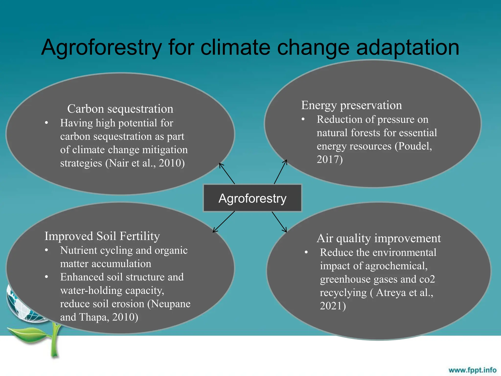 presentation role of agroforestry in cc 1.ppt