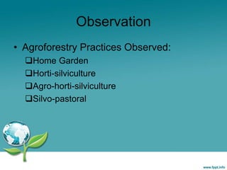 presentation role of agroforestry in cc 1.ppt