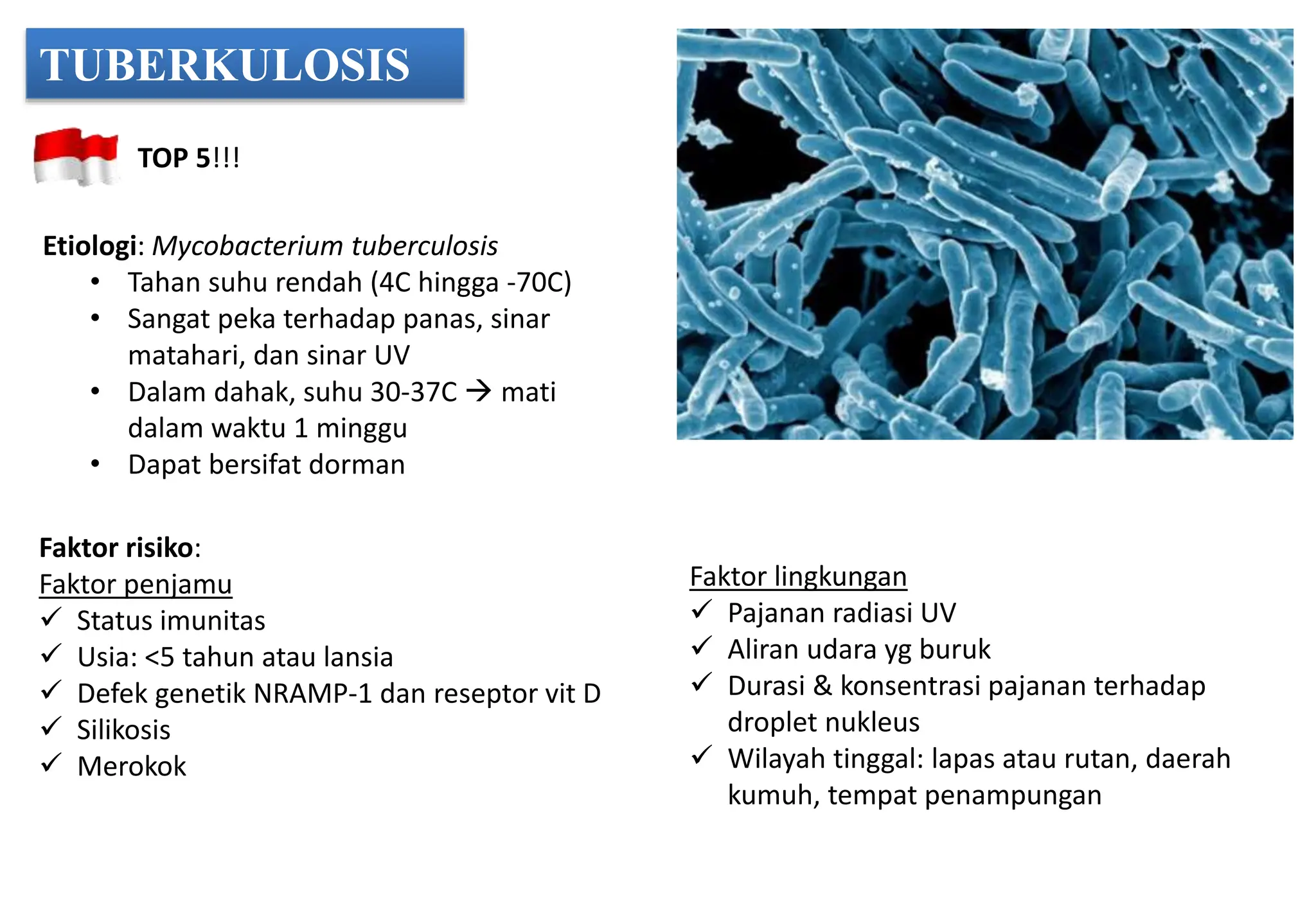 presentasi - tuberculosis tbc notes.pptx
