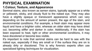 semen and seminal analysis in forensic science.pptx | Infertility ...