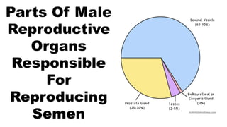 semen and seminal analysis in forensic science.pptx | Infertility ...