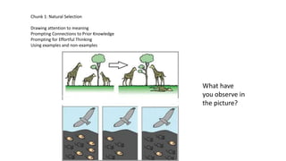 Presentation1 powerpoint presentation.pptx