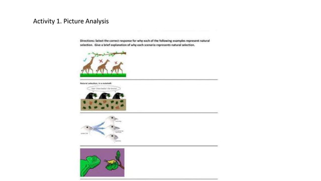 Presentation1 powerpoint presentation.pptx | Free Download