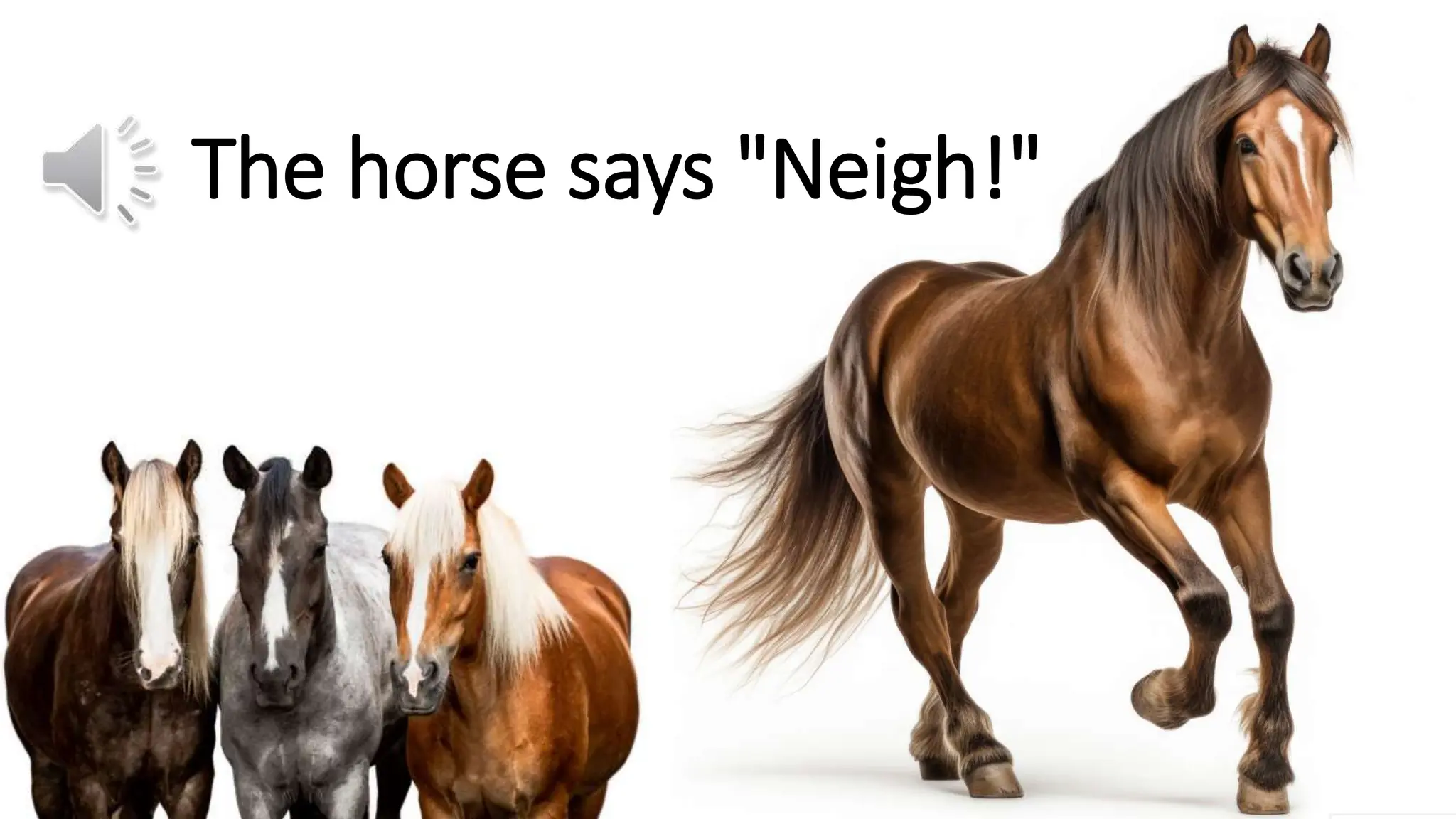 Farm animals and their sound [Cat, Dog, Frog, Horse, Pig and Cow] | PPT