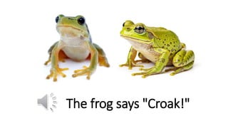 Farm animals and their sound [Cat, Dog, Frog, Horse, Pig and Cow] | PPT