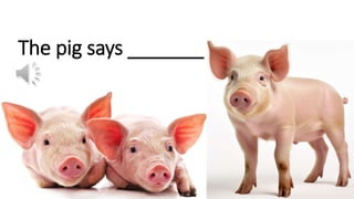 Farm animals and their sound [Cat, Dog, Frog, Horse, Pig and Cow] | PPT