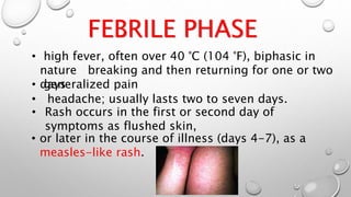 Dengue fever presentation by varsha BAMS | PPTX