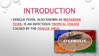 Dengue fever presentation by varsha BAMS | PPTX