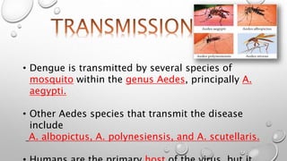 Dengue fever presentation by varsha BAMS | PPTX