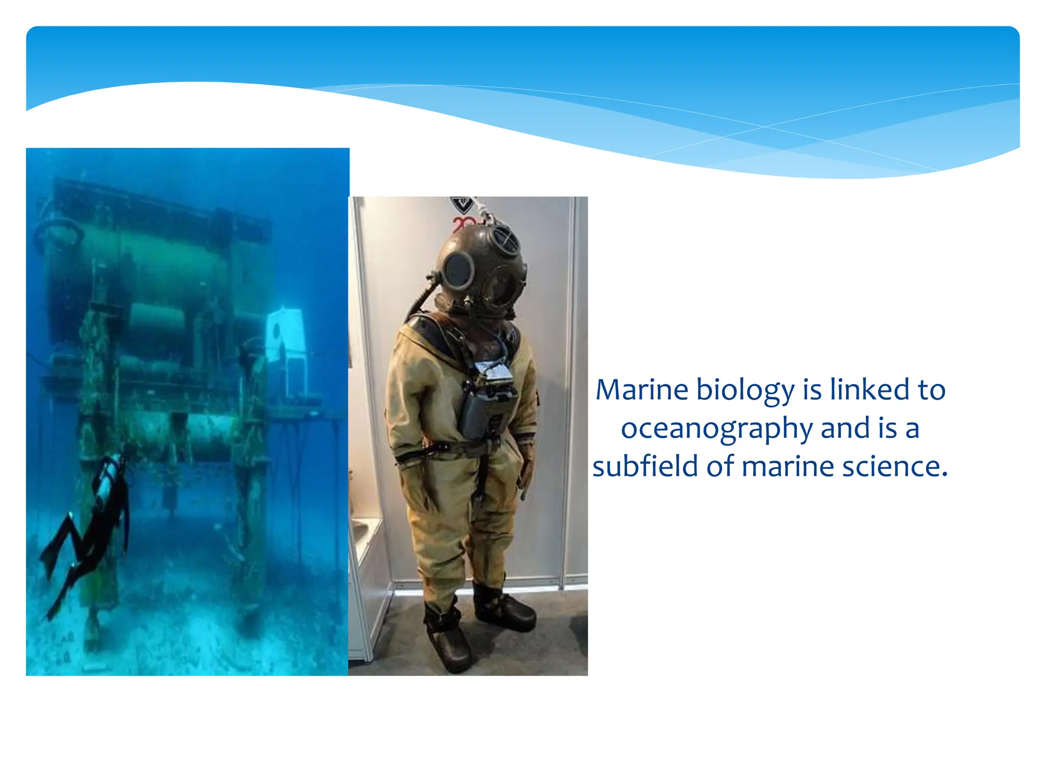 What is Marine Biology .pptx