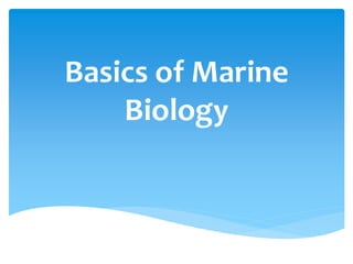 What is Marine Biology .pptx