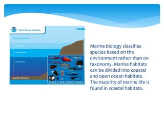 What is Marine Biology .pptx