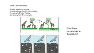 Presentation1hfbvdbvjfdbvjbjvnnvjfdvnjdf.pptx