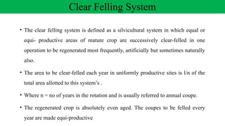 Presentation of forest management 1.pptx