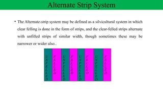 Presentation of forest management 1.pptx