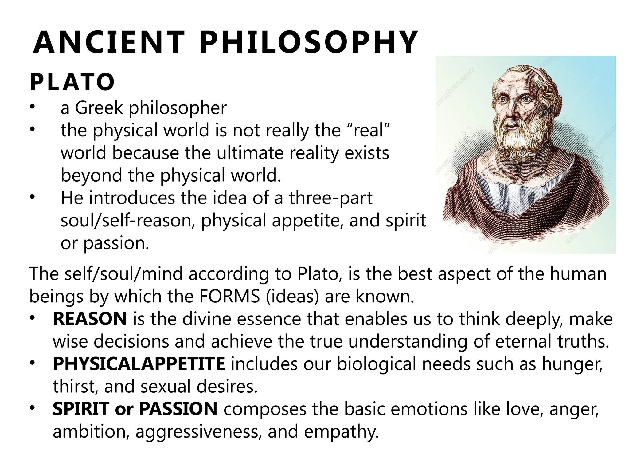 Presentation1 understanding the self.pptx