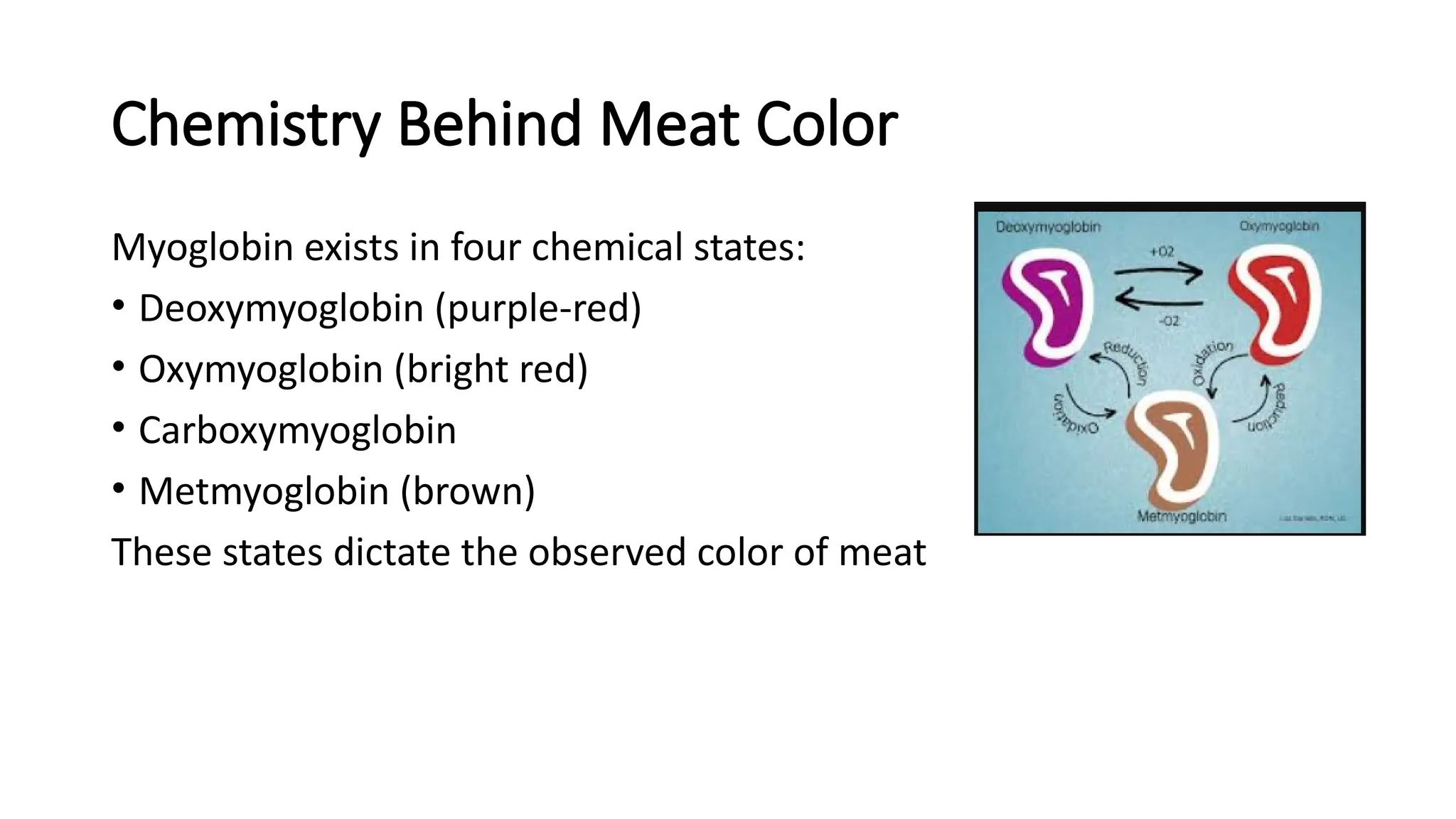 Meat color changes and the science behind | PPTX