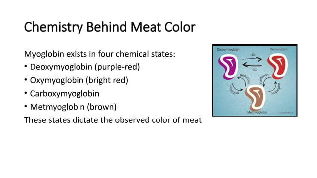 Meat color changes and the science behind | PPTX
