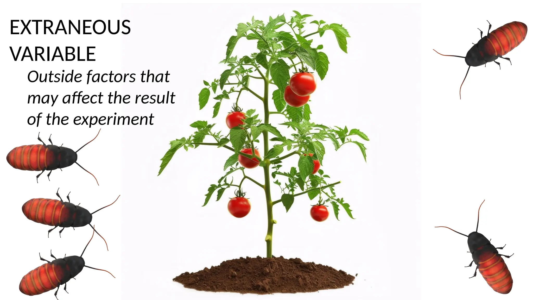 Presentation types of variables research.pptx