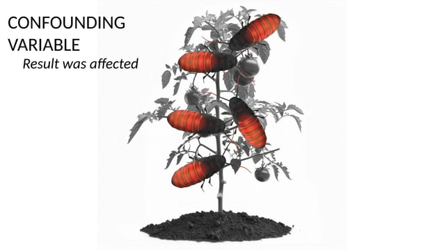 Presentation types of variables research.pptx
