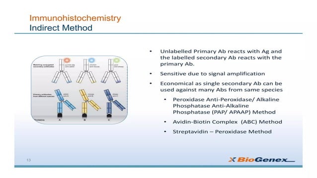 Immunohistochemistry (IHC) is a technique used to detect specific ...