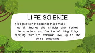 Introduction to life science looking at the concept of life and it's ...