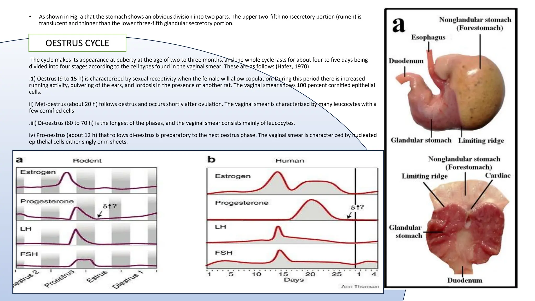 Commonly used animals used in laboratory | PPT