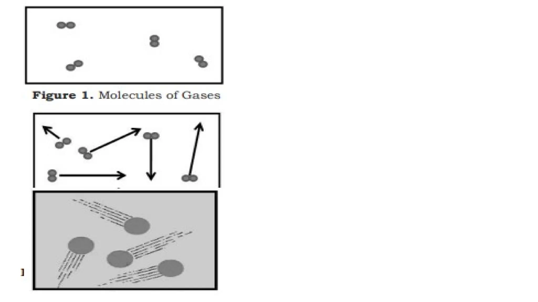 Presentation1fdfdfdffdgggyfyfyfffw8.pptx